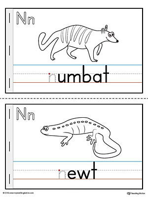 Letter N Mini Book Printable | MyTeachingStation.com