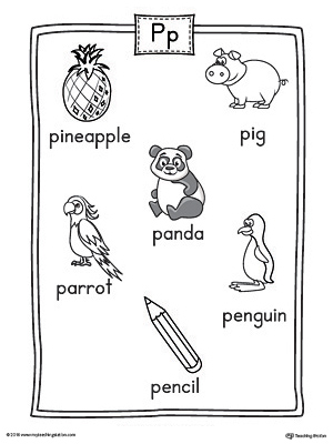 Letter P Word List with Illustrations Printable Poster ...